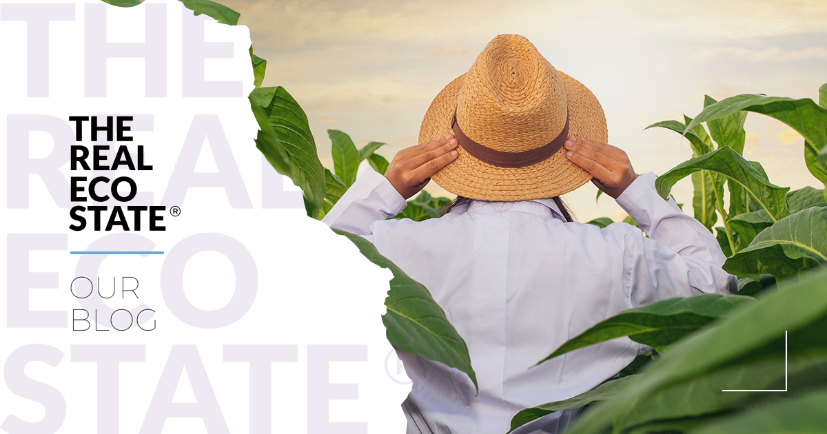The Real Eco State | Blog